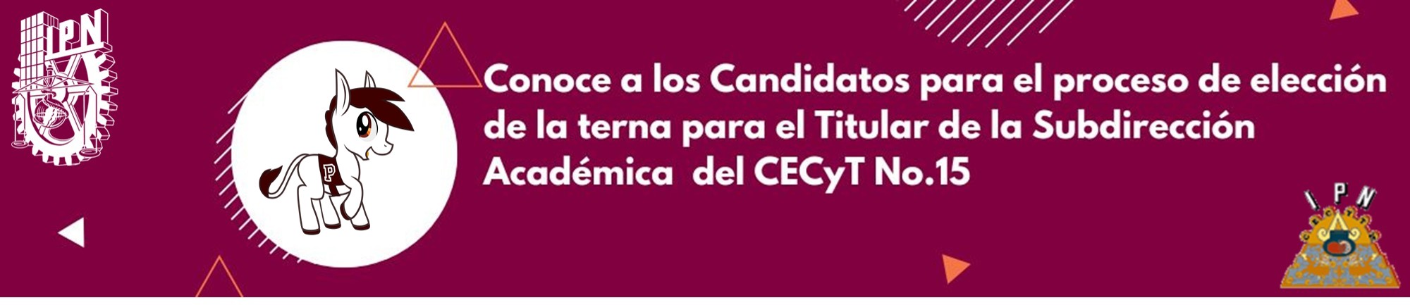 Inicio - Página Oficial del Centro de Estudios Científicos y ...